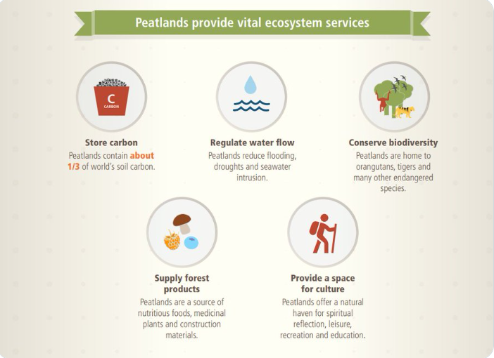 WaterLANDS – Yorkshire Integrated Catchment Solutions Programme (iCASP)
